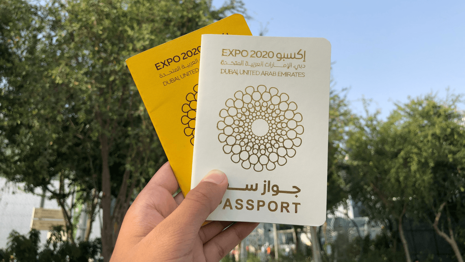 Pakistani Passport Requirements & Renewal Process for 2025