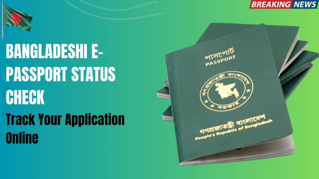 Passport Colors: What They Mean & Which Countries Use Them